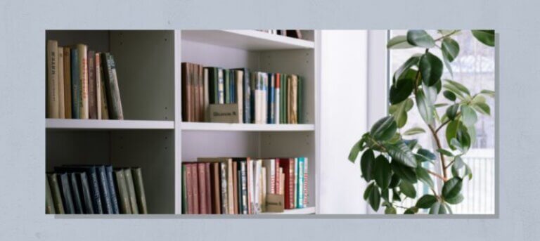 First Alliance Title | 5 Denver-Metro Locations